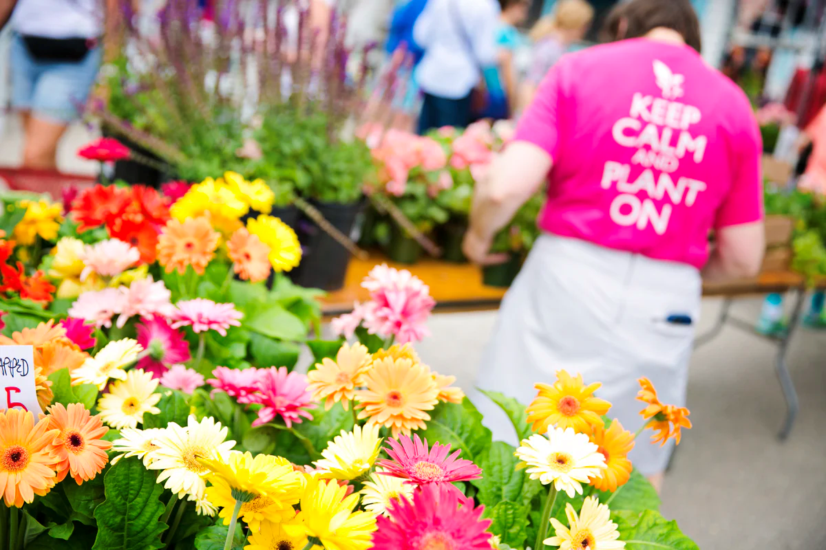 Devon Flower Box: Presale – Devon Country Fair Events